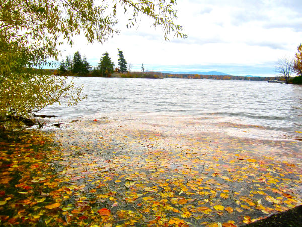 La ville de la semaine: Roxton Pond en images - URBANIA