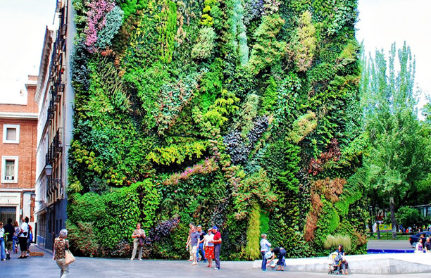 #17 – Des jardins verticaux dans Ville-Marie - URBANIA