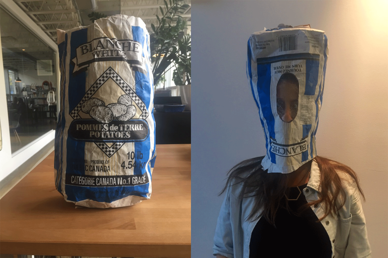 Guide des meilleurs sacs de patates à l’usage des gens gênants - URBANIA