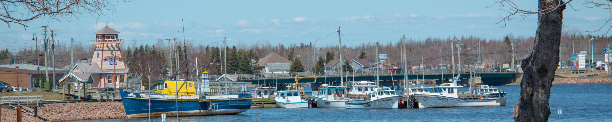 Ville de la semaine: Tracadie - URBANIA