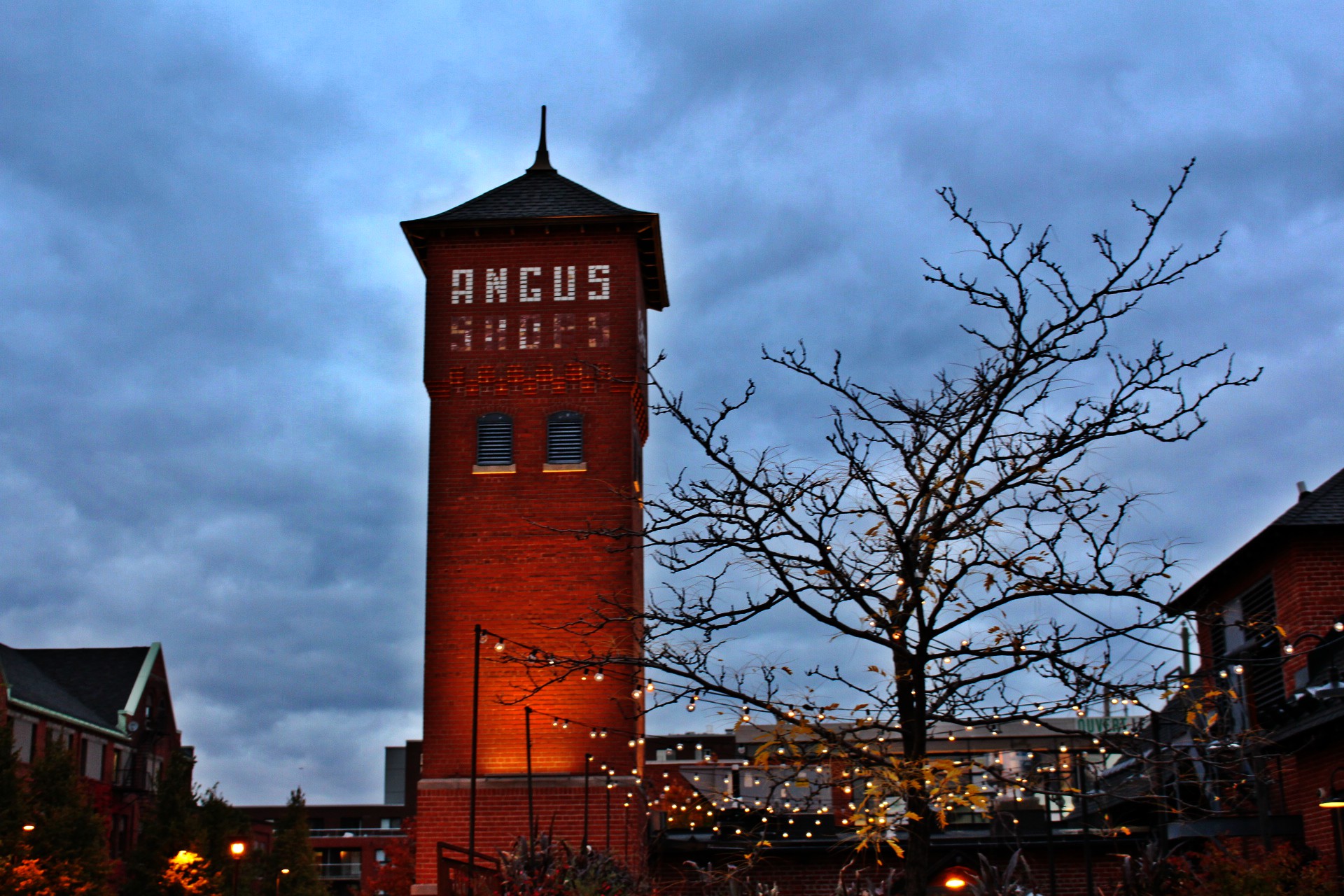 L’effervescence de Rosemont-Petite-Patrie - URBANIA