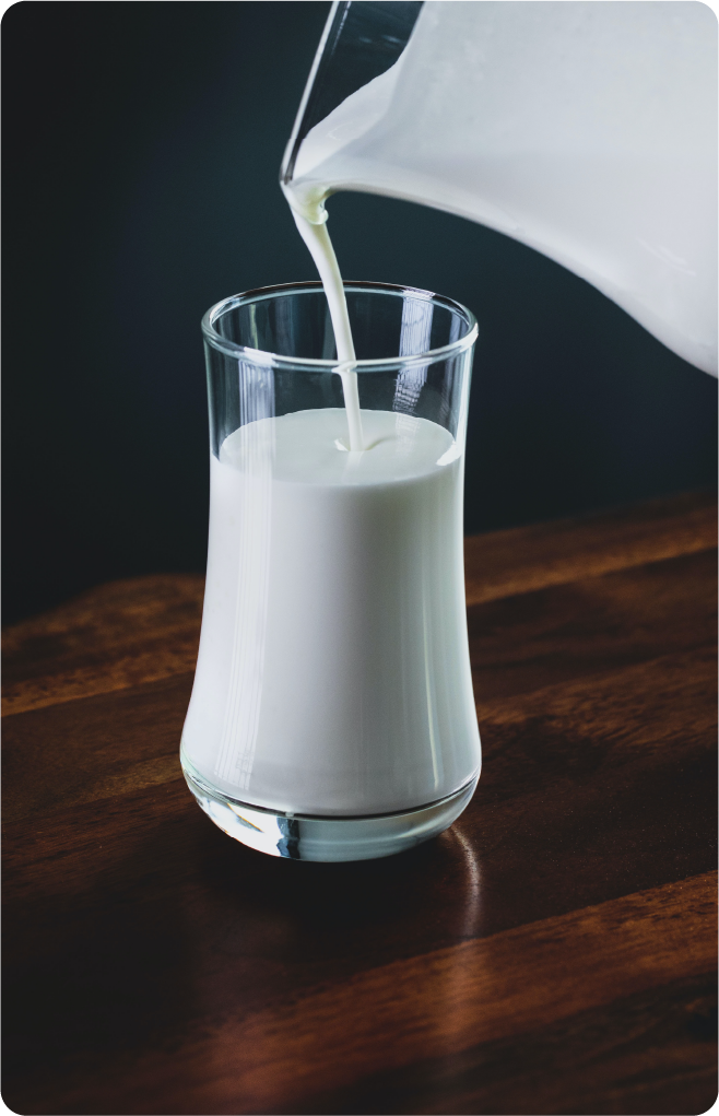 Expérience immersive | URBANIA